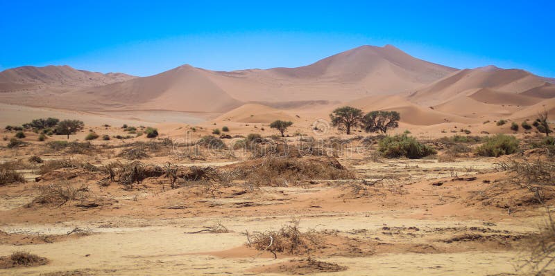The Highest Sand Dunes In The World At Sunset In Namib Desert, In The ... The Highest Sand Dunes In The World At Sunset In Namib Desert, In The ...
