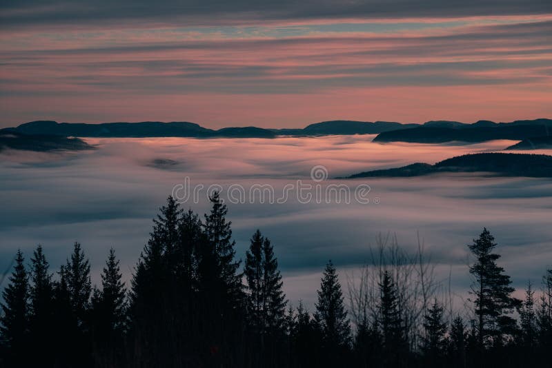 Highland Covered in Clouds with Trees in the Foreground Stock Photo ...