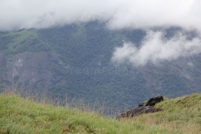 Highland with Grass and Forest Mountain Covered in Clouds Stock Image ...