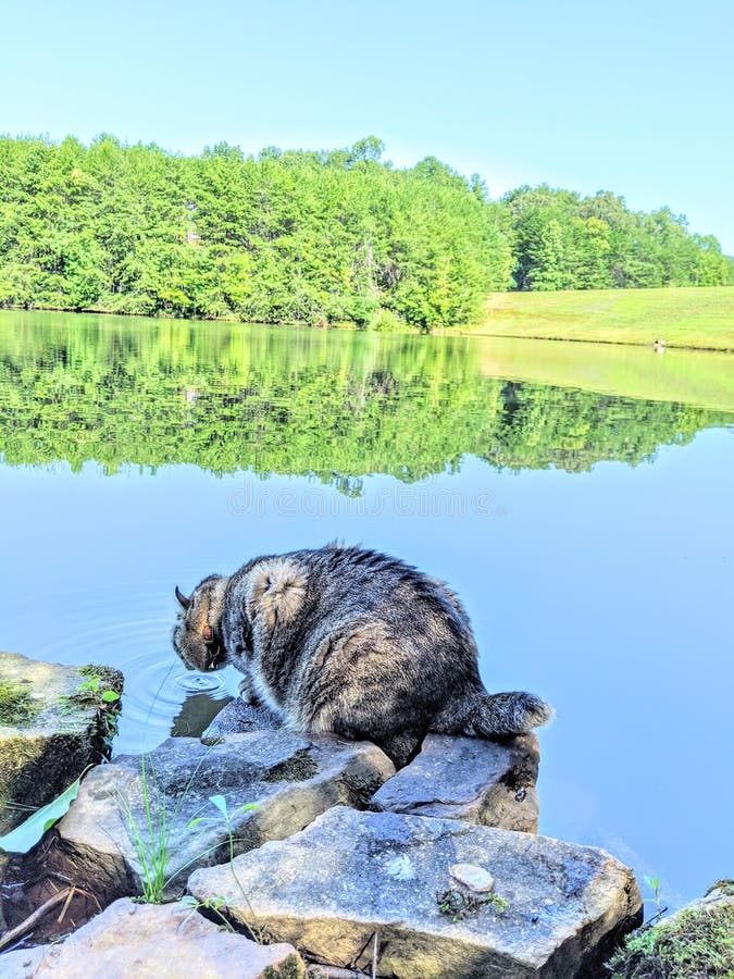 Susan Leggett (Noonie) - Photographer profile