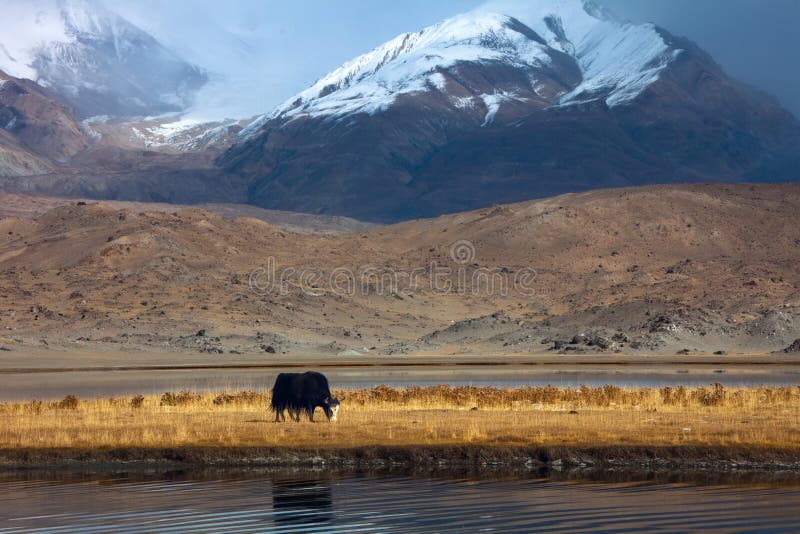 Highland scenery stock photo. Image of water, white, scenery - 15388576
