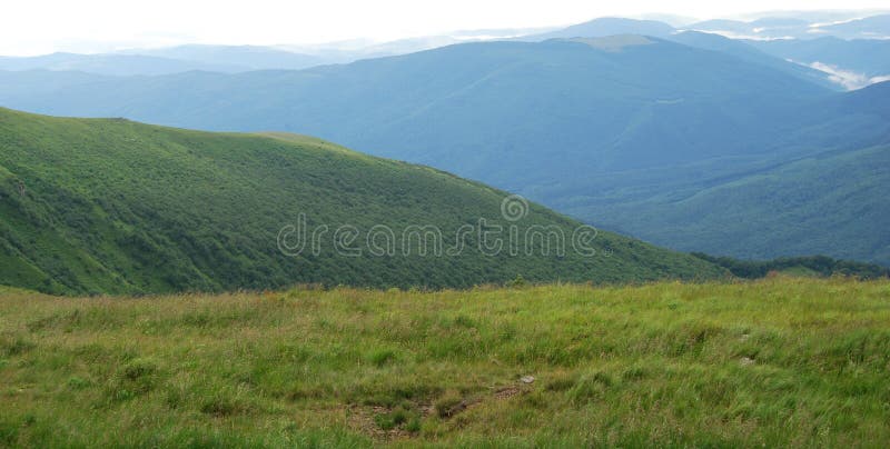 Highland valley stock photo. Image of mountain, blueberry - 13154764
