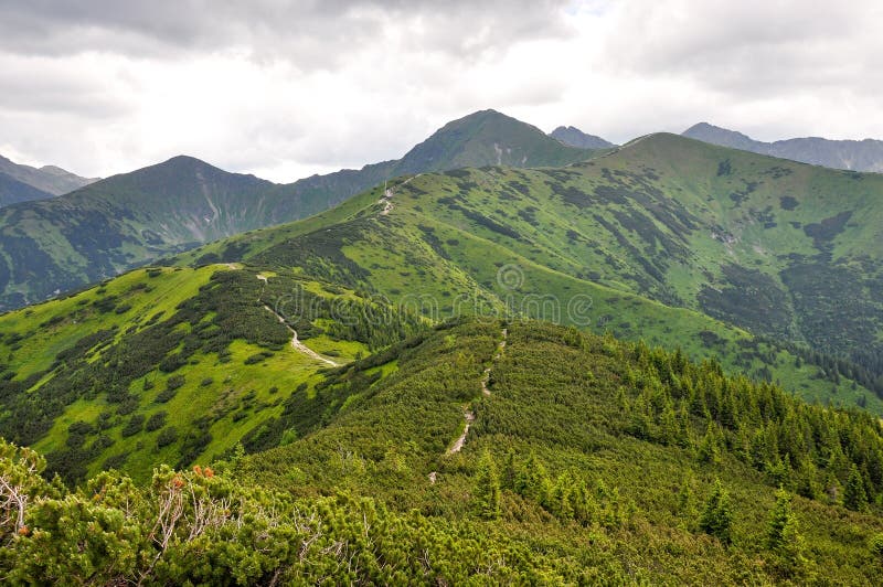 Highland, Vegetation, Ridge, Mountain Stock Photo - Image of escarpment ...
