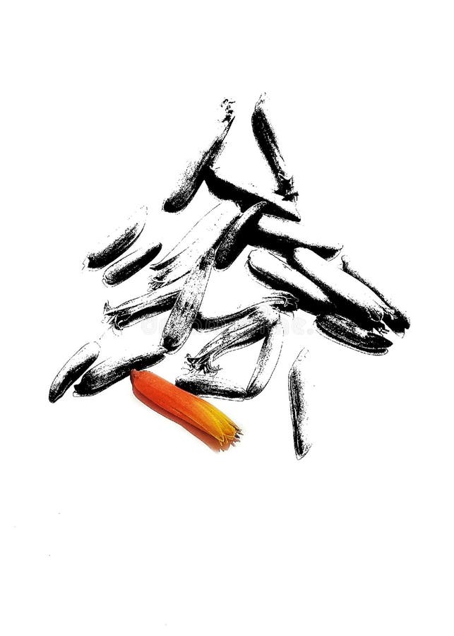 Highlight Beautiful One Object Picture Stock Image - Image of object ...