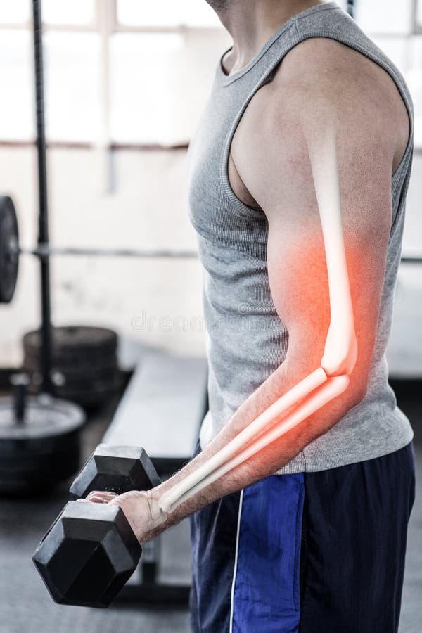 Highlighted Arm of Strong Man Lifting Weights at Gym Stock Photo ...
