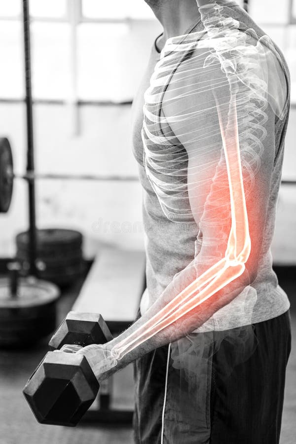 Highlighted Arm of Strong Man Lifting Weights at Gym Stock Photo ...