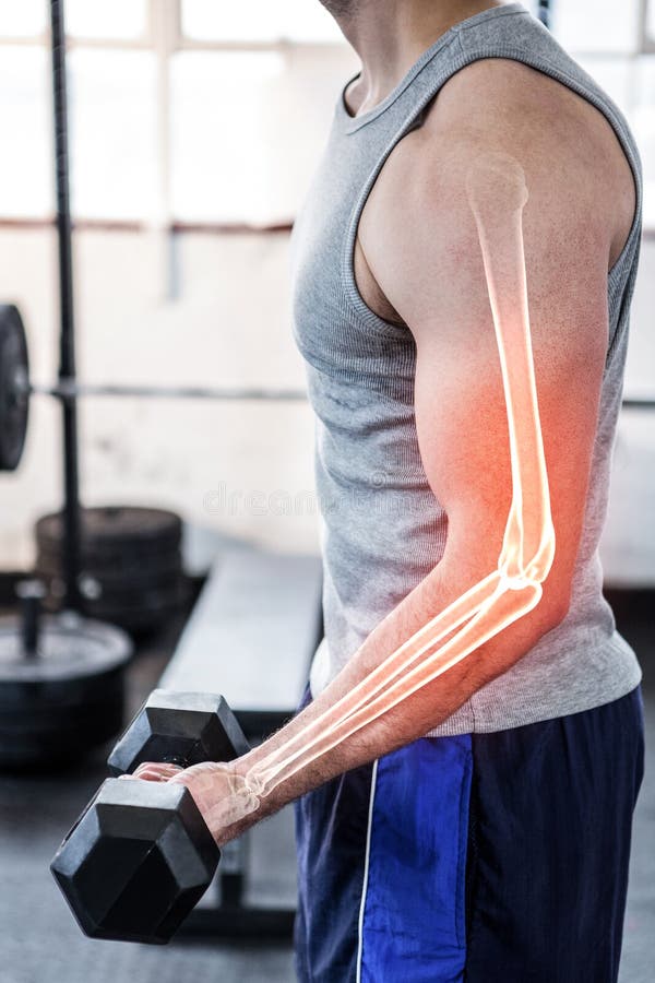 Highlighted Arm of Strong Man Lifting Weights at Gym Stock Photo ...