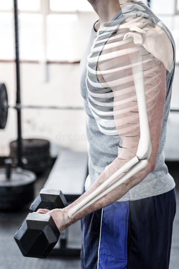 Highlighted Arm of Strong Man Lifting Weights at Gym Stock Photo ...