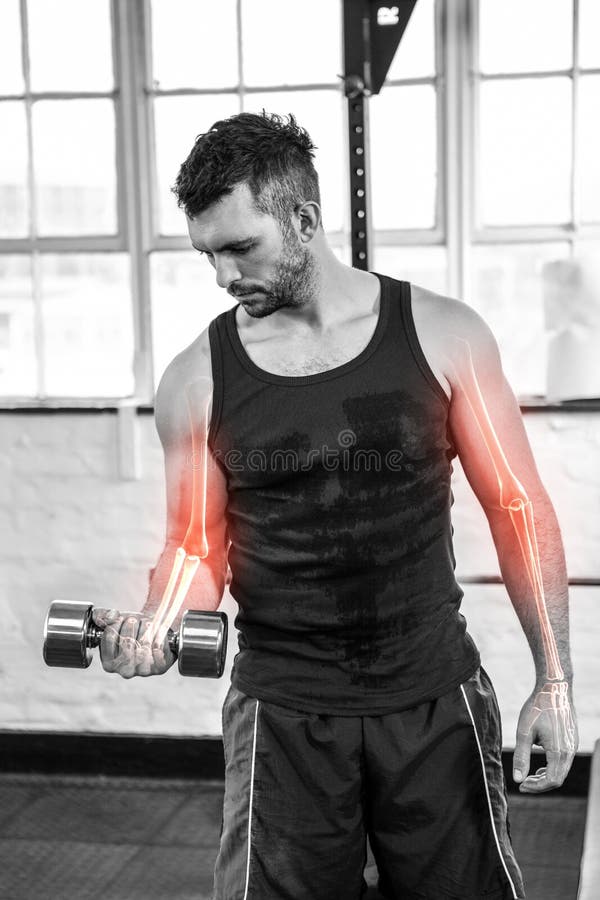 Highlighted Arm of Strong Man Lifting Weights at Gym Stock Photo ...