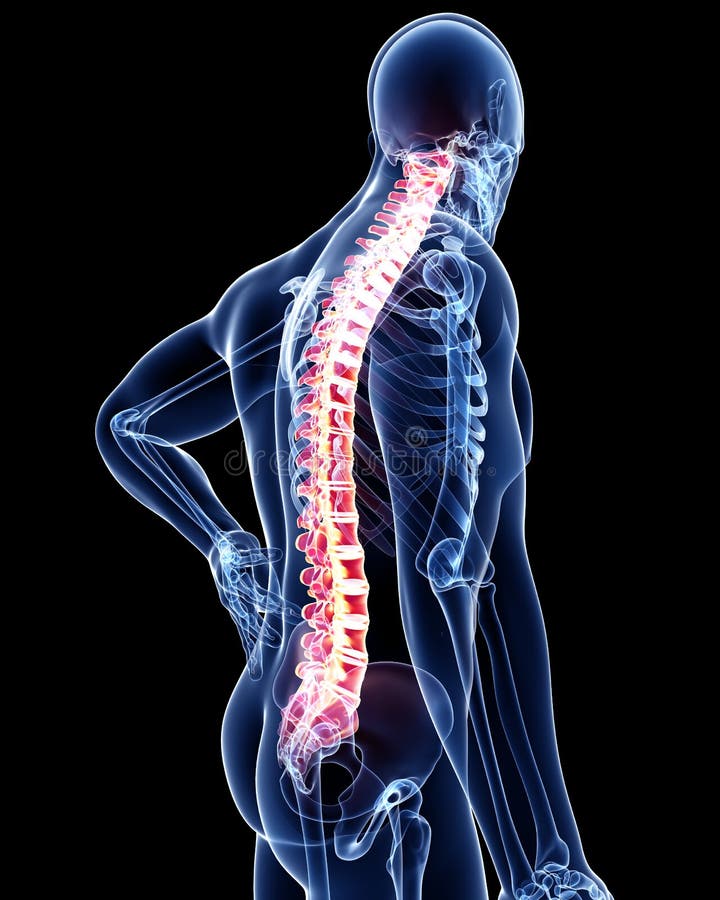 Male Spine Pain Anatomy in Blue Stock Illustration - Illustration of ...