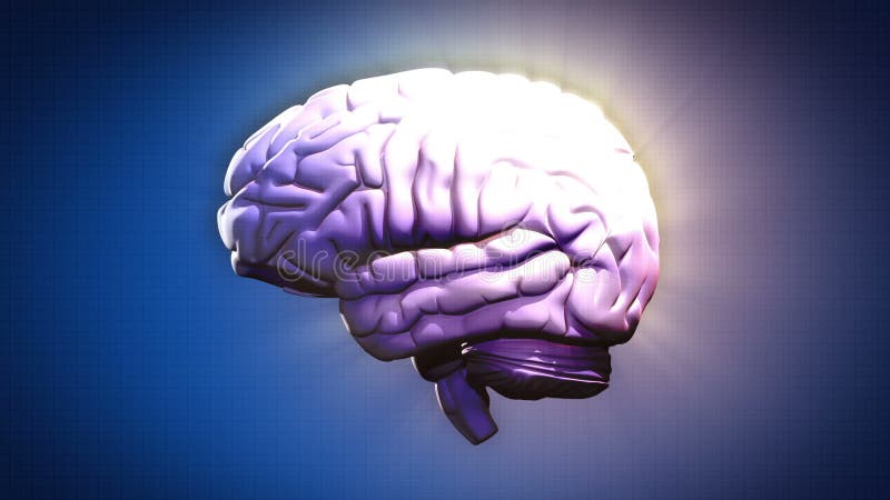 Highlighted BRAIN parts stock video. Video of brain, blue - 35101186