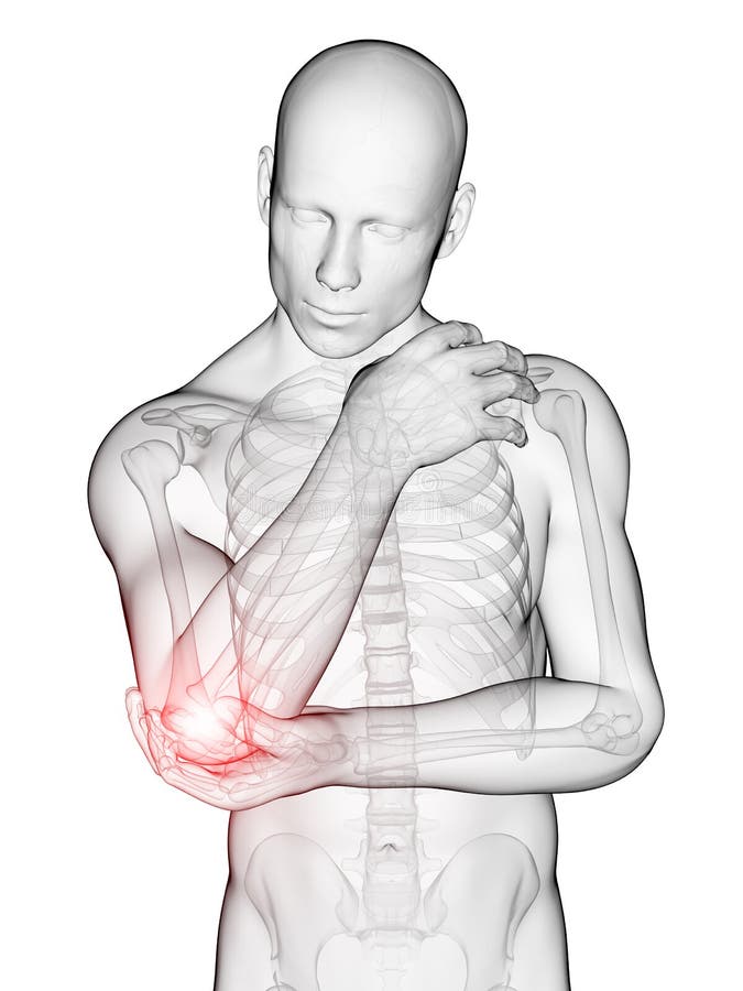 Highlighted elbow stock illustration. Illustration of skeletal - 30727411