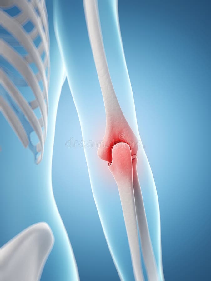 Highlighted elbow joint stock illustration. Illustration of medical ...