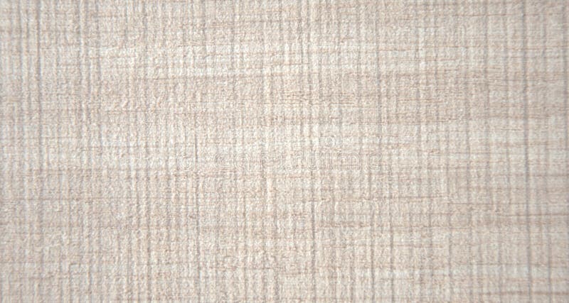 Highlighted Oak, Natural Light Wood with Artificial Mesh Pattern Stock ...