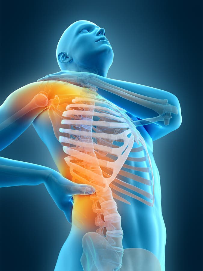 Human Body Inflammation Stock Illustrations – 19,591 Human Body ...