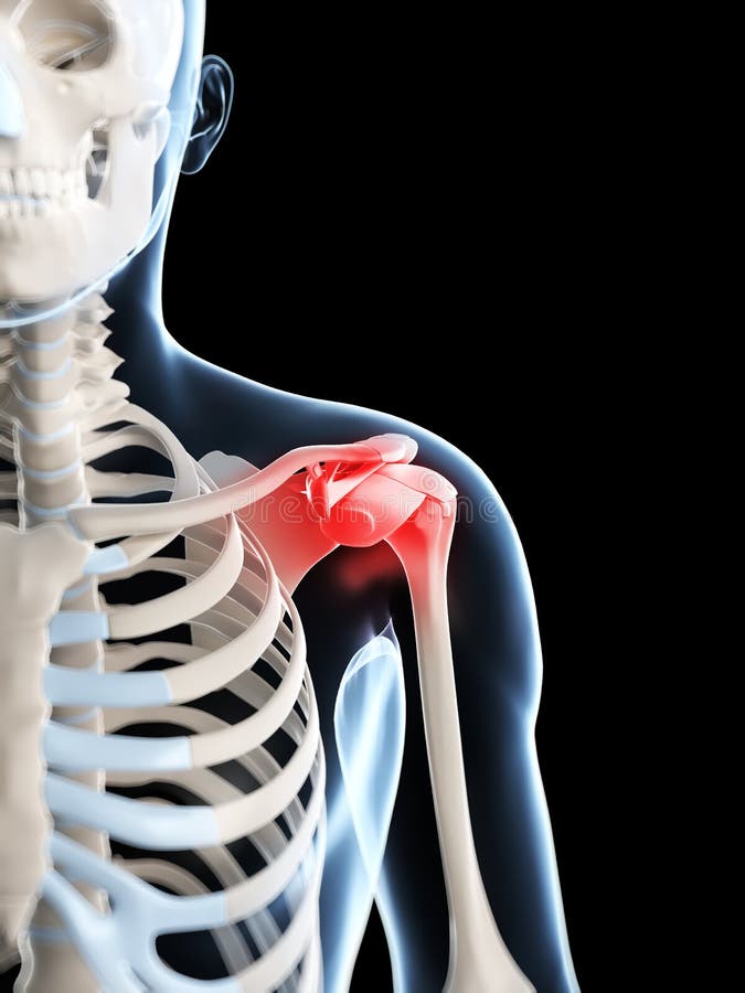 Highlighted shoulder joint stock illustration. Illustration of ...