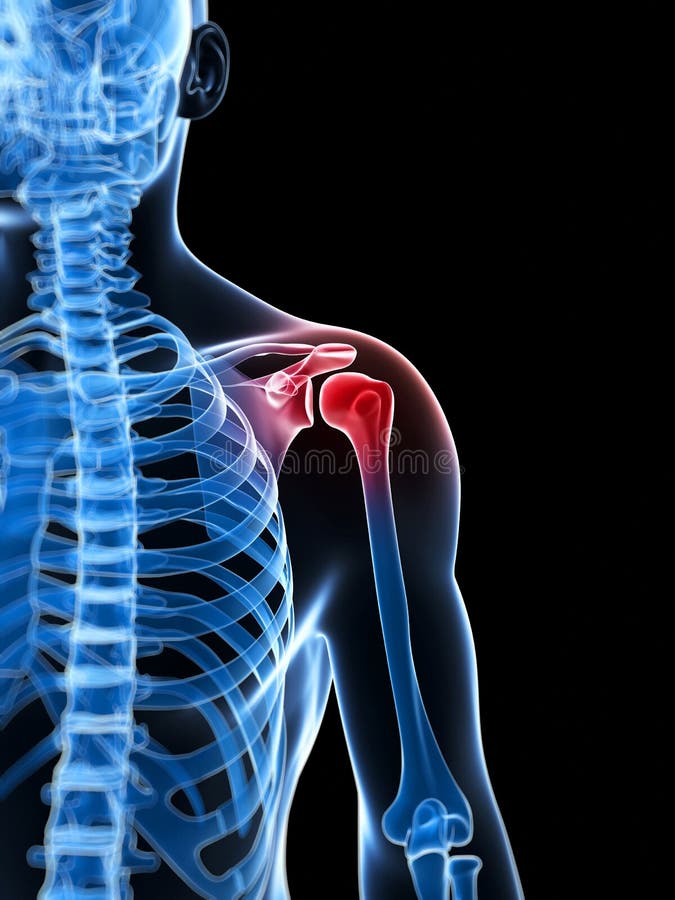 Highlighted shoulder joint stock illustration. Illustration of ...