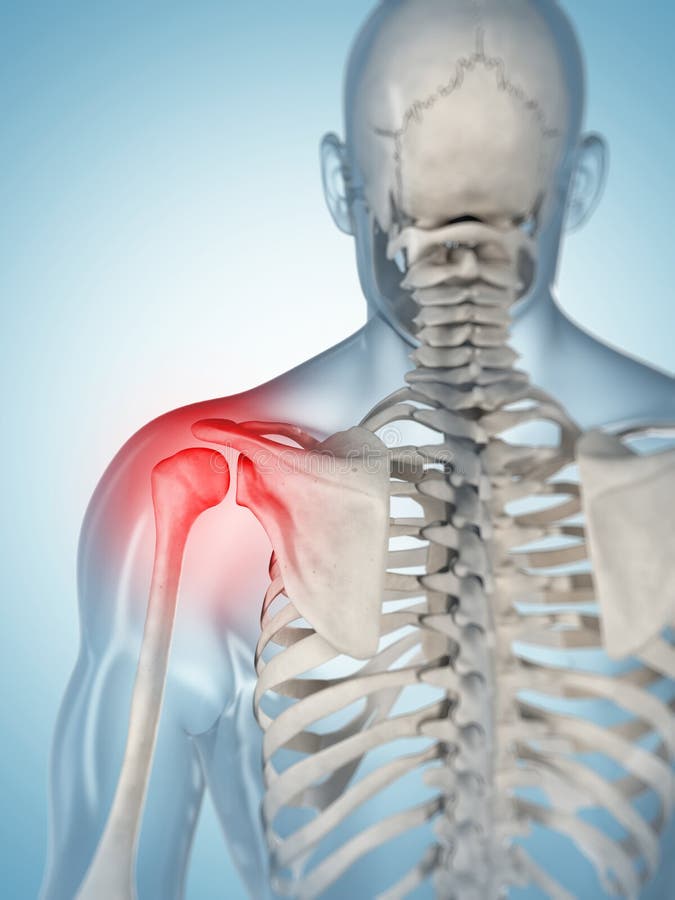 Highlighted shoulder joint stock illustration. Illustration of healthy ...