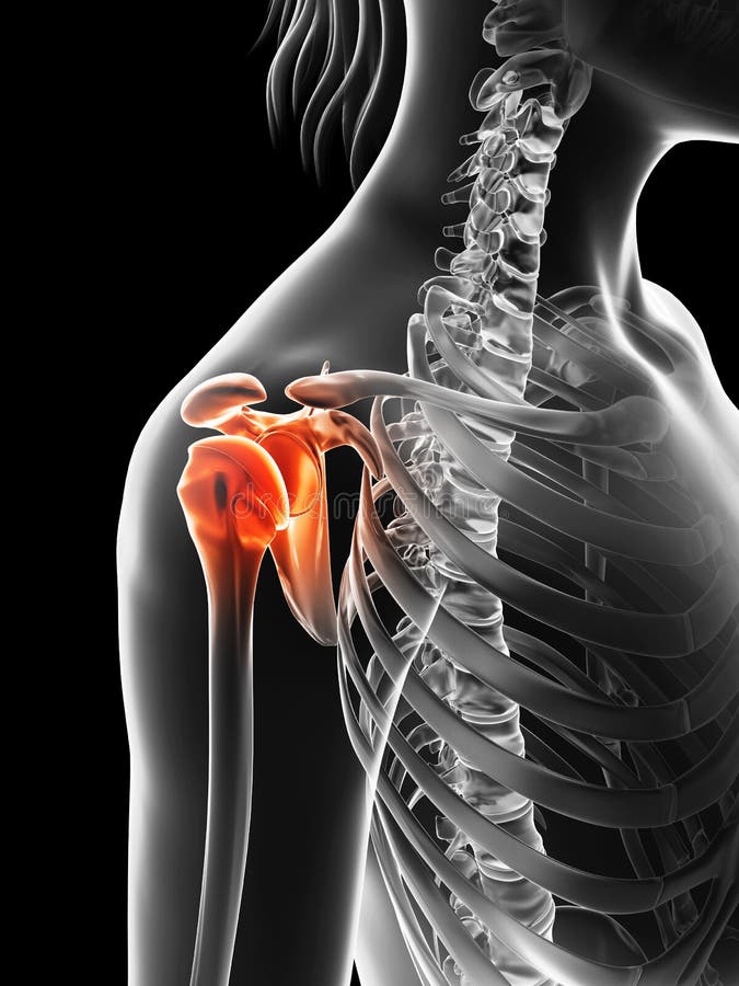 Highlighted shoulder joint stock illustration. Illustration of ...