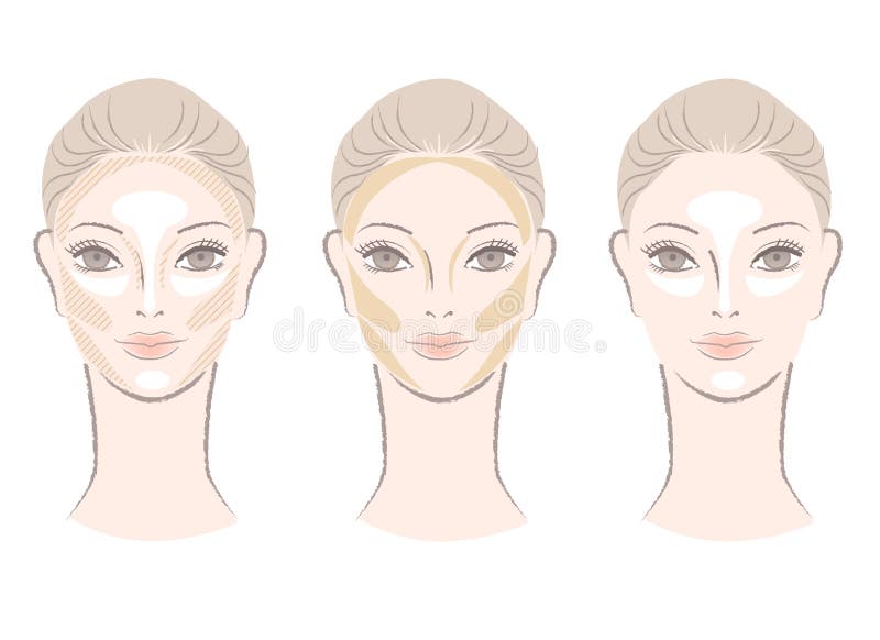 Highlighting and Contouring Area Chart for Face Stock Vector ...