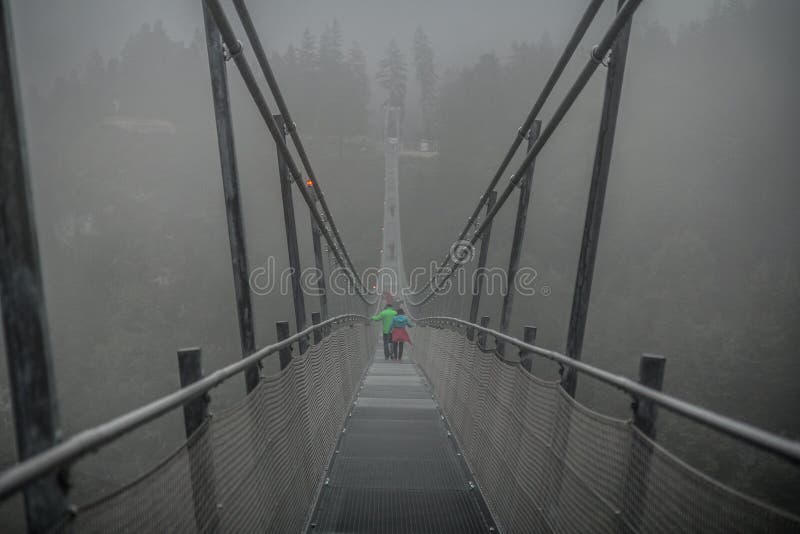 Highline 179 stock photo. Image of guinness, bridge, hanging - 59615088