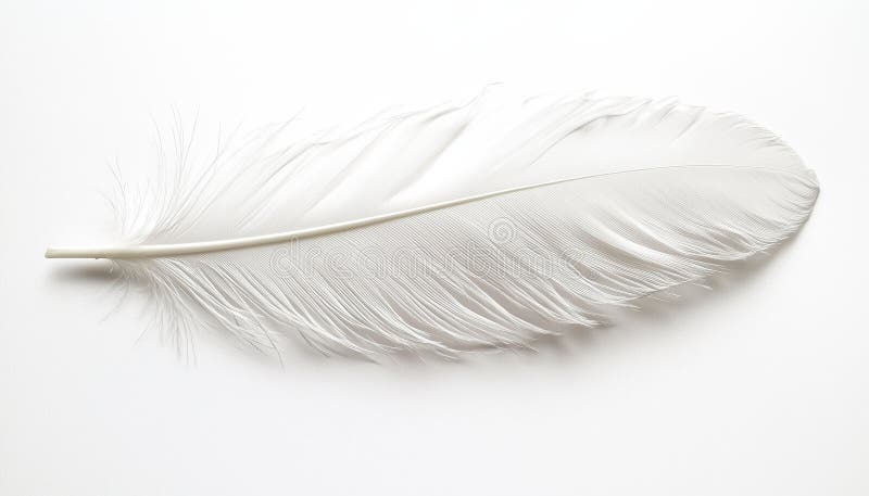 Featherweight Logo Svg Stock Photos - Free & Royalty-Free Stock Photos ...