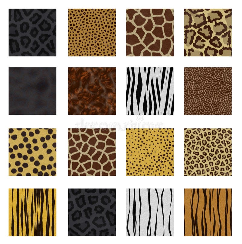 Animal skin textures stock vector. Illustration of design - 19281139