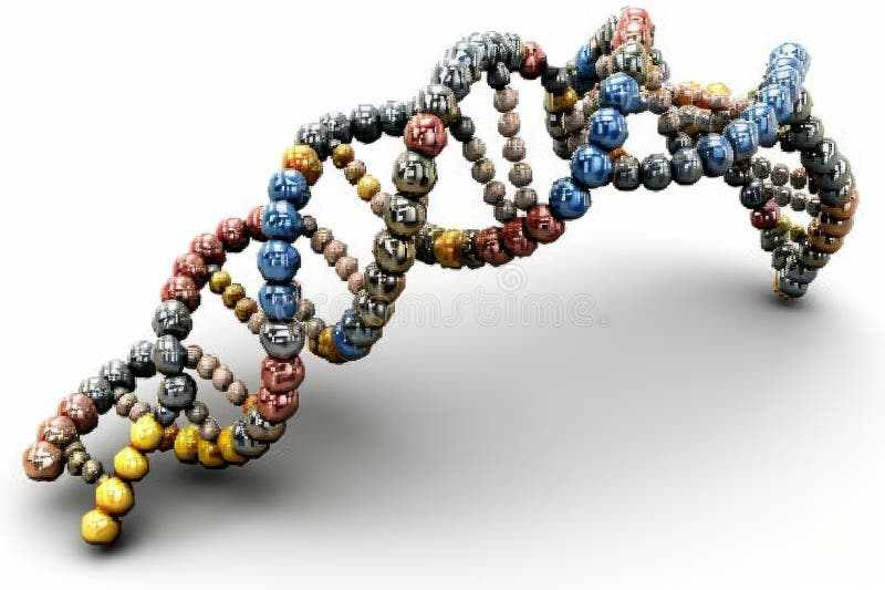 Highly Detailed Beaded DNA Model Emphasizing the Intricate Connections ...