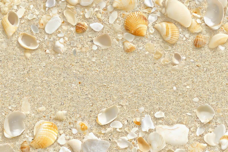 Highly Detailed Sandy Beach Texture, Fine Grains with Small Shells and ...