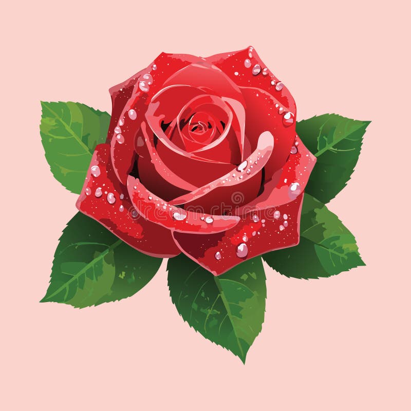 A Highly Detailed Vector Rose Stock Illustration - Illustration of ...