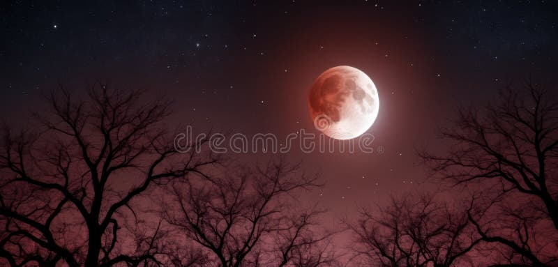 A Highly Detailed View of a Lunar Eclipse, with the Moon in a Deep Red ...