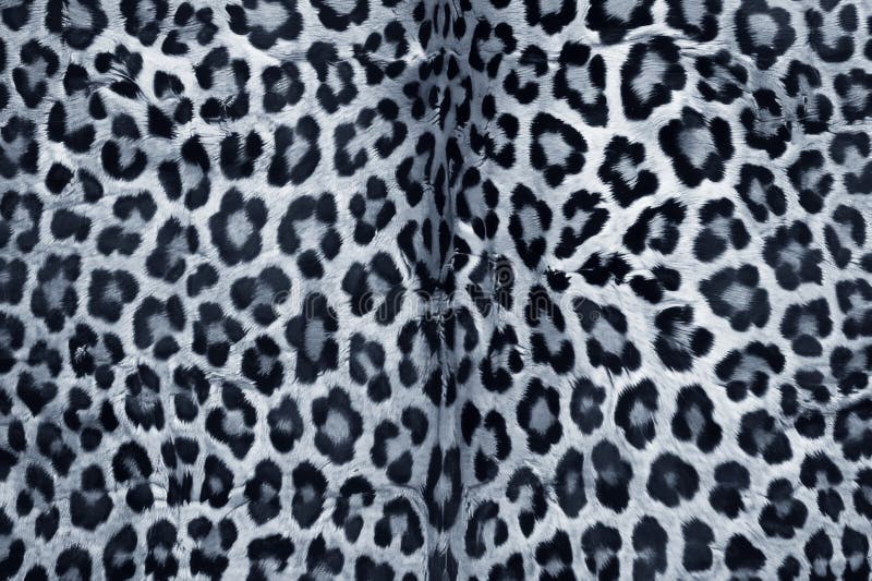 Highly Realistic Leopard Fur Texture with Distinctive Spots Pattern for ...
