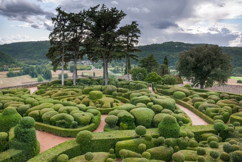 Highly Shaped Ornate Box Hedges Stock Photo - Image of natural, holiday ...