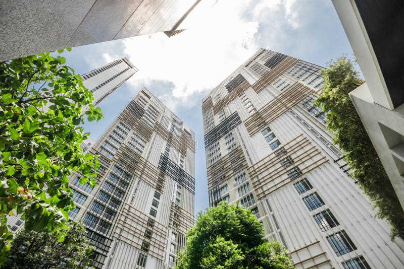 Hight Modern Building with Tree Stock Photo - Image of construction ...
