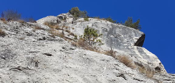 Hight Rocks with Fir Trees Growing between Stock Photo - Image of ...