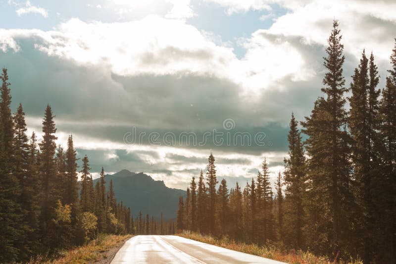 Road on Alaska stock photo. Image of park, outback, ride - 285006924