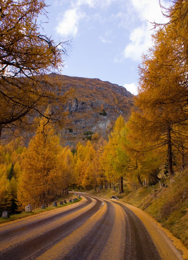 Highway through Autumn Forest Stock Photo - Image of austrian, leaves ...