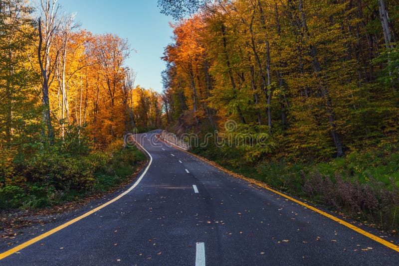 Highway in the Autumn Mountain Forest Stock Image - Image of colors ...