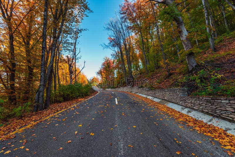 Highway in the Autumn Mountain Forest Stock Image - Image of landscape ...