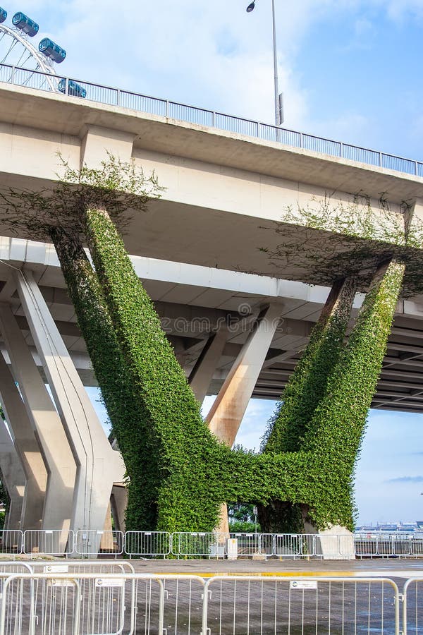 Highway Bridge Columns Covered by Ivy in Singapore Stock Photo - Image ...