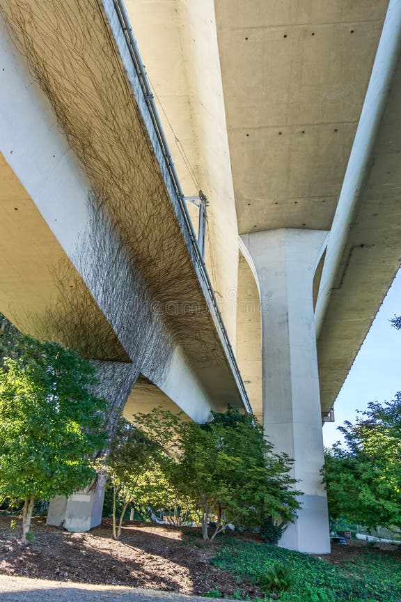 Highway Bridges Architecture 8 Stock Photo - Image of span, seattle ...
