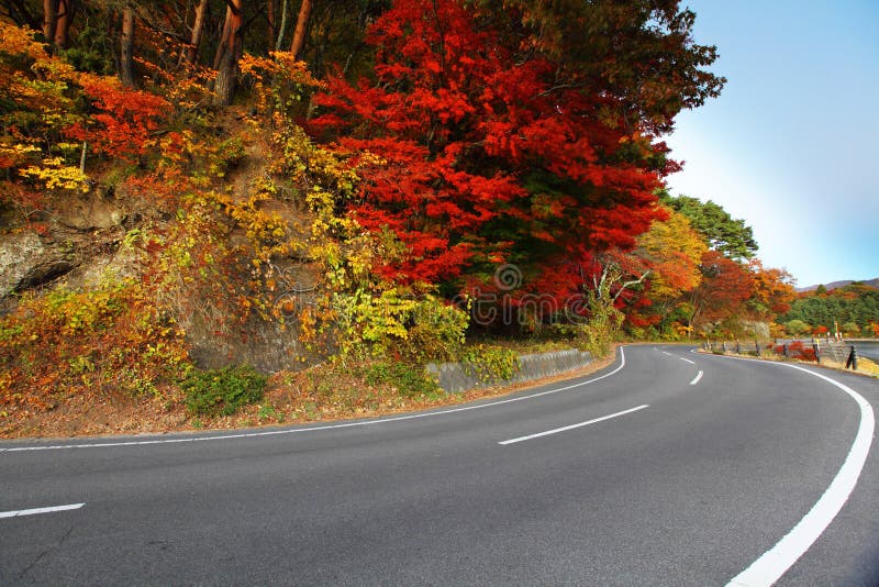 Highway with Colorful Maple Leaves Stock Photo - Image of carpet ...