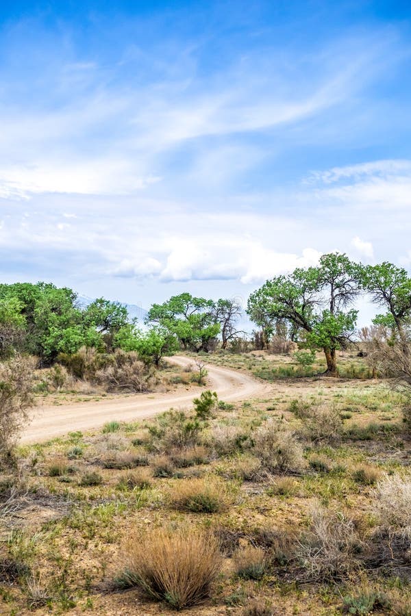 Highway at the Desert Rock with Gnarled Trees Stock Photo - Image of ...