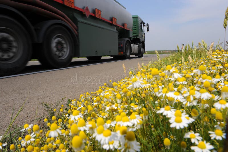 Highway flowers stock photo. Image of business, asphalt - 41303616