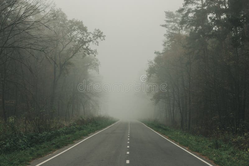 Highway in the Fog in the Forest Stock Photo - Image of driving, autumn ...
