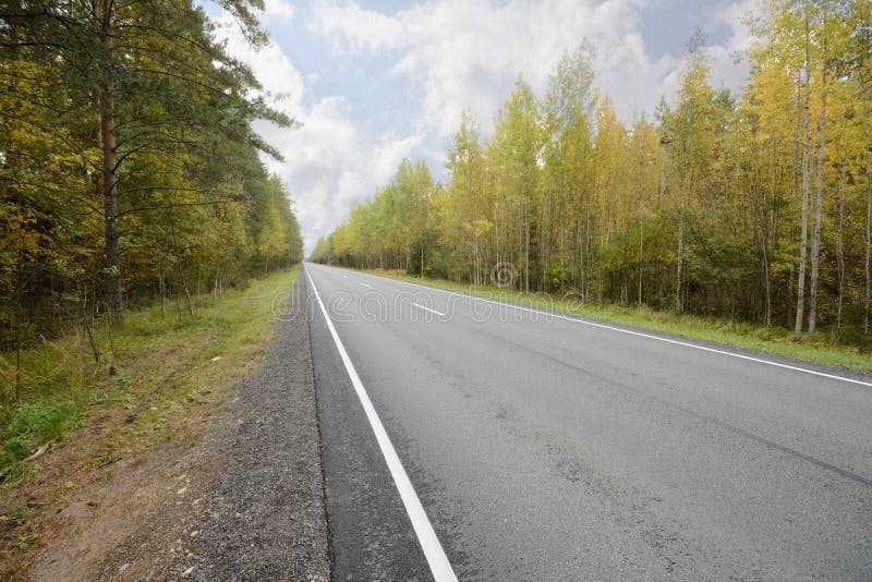 Highway in the Forest Going into the Distance. with Road Markings Stock ...