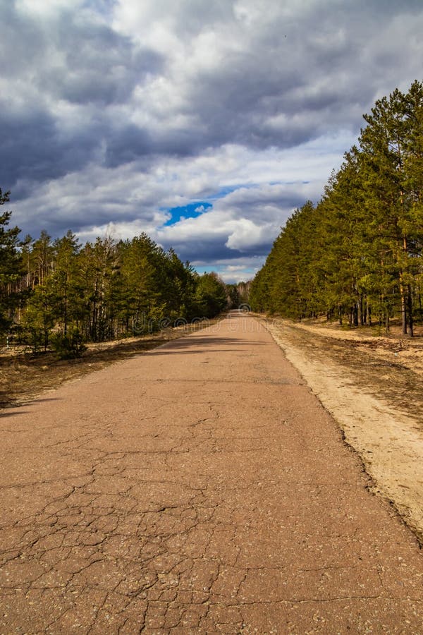 Highway through the Forest, a Journey into Nature Stock Image - Image ...