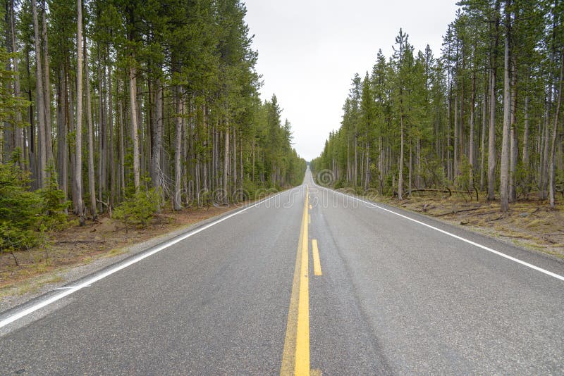 Highway through a Forest stock photo. Image of motorway - 73489806