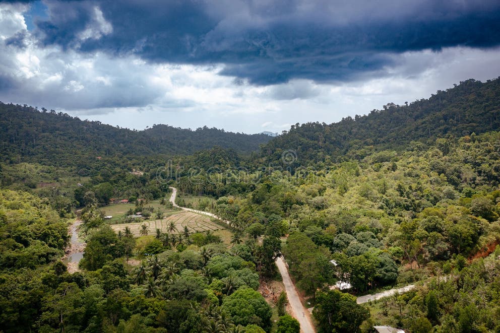Highway through the Jungle of the Philippines Stock Image - Image of ...