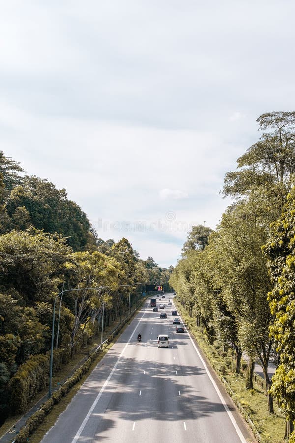 Highway Lined with Beautiful Trees Stock Image - Image of asphalt ...